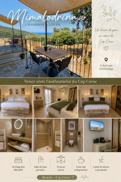 Chambre 2 Mimalodrina - Bastia
