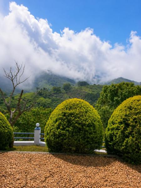 The Ridge Vagamon - Private Villa - Vagamon