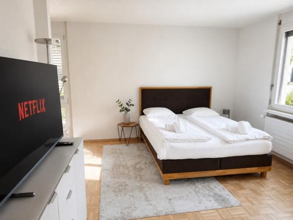 Amazing Studio In The City Centre (Art 12) - Zürich
