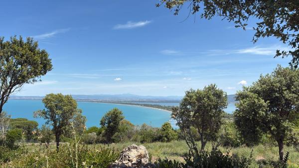 Pianone Alto 19 - Orbetello