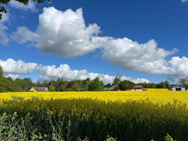 Danish Soul & Chinese Heart - Danemark