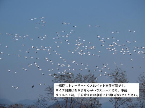 Cafe & Stay Flyway - Oga