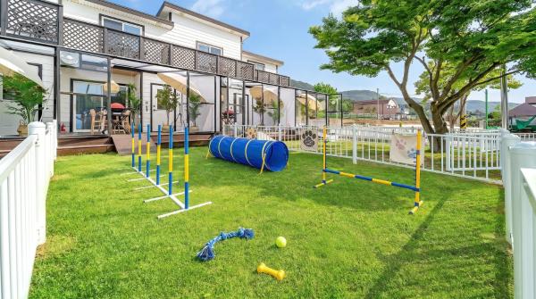Yeosu Dangdangi Dog Family Pension Gold - South Korea