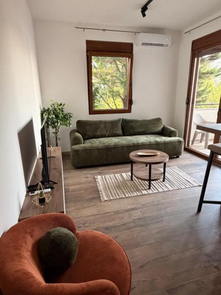 Iva Apartment - Montenegro