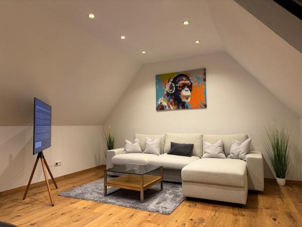 Old Bakery, Air Conditioning, Pool, Terrace, Dogs Allowed - Freiburg