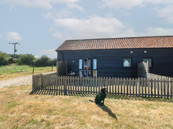 Snowy Owl Barn - Dereham