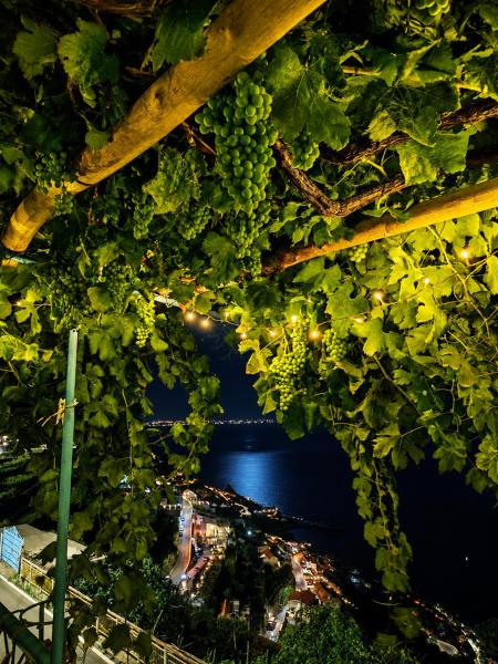 Il Belvedere Di Nina - Sea View Holiday House - Amalfi
