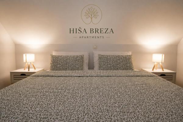 Hiša Breza - Apartments Ljubljana - Ljubljana