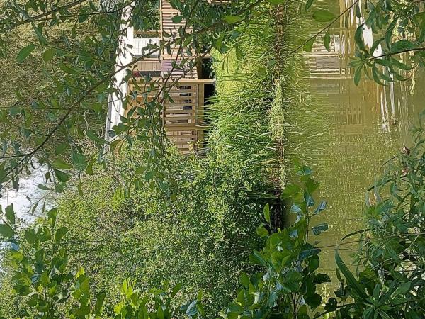 Mobil Home Accueillant, Animaux Acceptés - 4 Pers. - Api-1-52-3003 - Baie de Somme