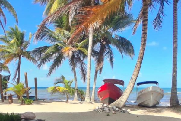 Los Mangoes - Belize