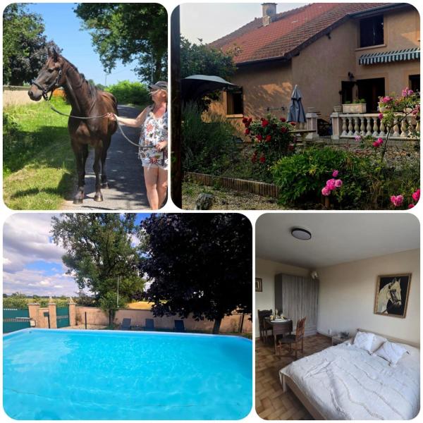 Douce Nuit Près Des éCuries - Le Pal - Piscine - Allier