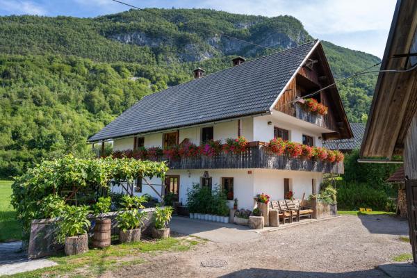 Mojca's Magical Farm Apartment - Stara Fužina