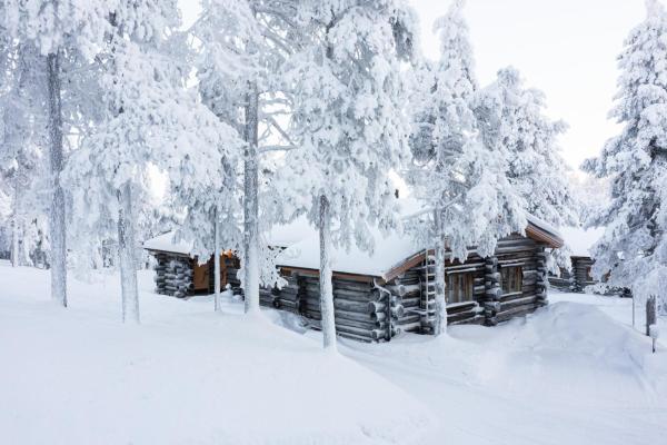 Silver Pines Lodge - Ruka