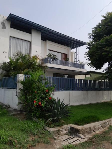 Mayflowers - Chandigarh