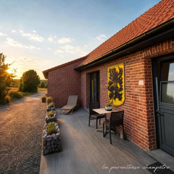 Gîte De Charme Au Cœur Des Flandres, "La Parenthèse Champêtre", Rdc Avec Grand Jardin, Table De Pique Nique Exterieure, Hamac, Confort Et Proche Toutes Comodités - Nord