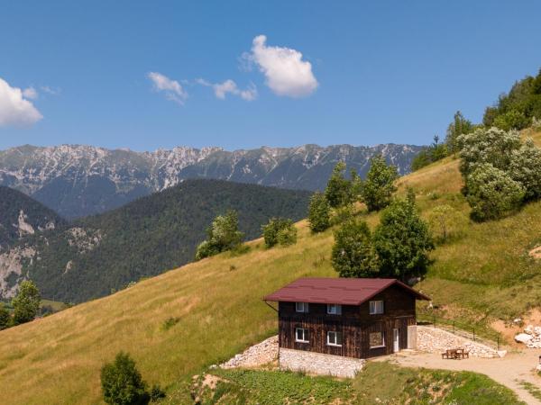 Colnic Apartament - Râșnov