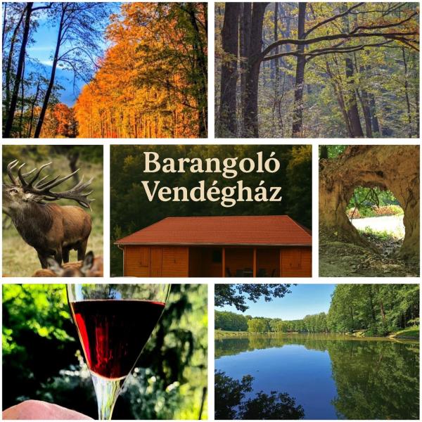Zselici Barangoló Vendégház - Hongarije