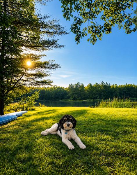 Serene Lakeside Oasis - 1.5 Hrs From Nyc Fast Wifi - Waterfront, Cuddebackville