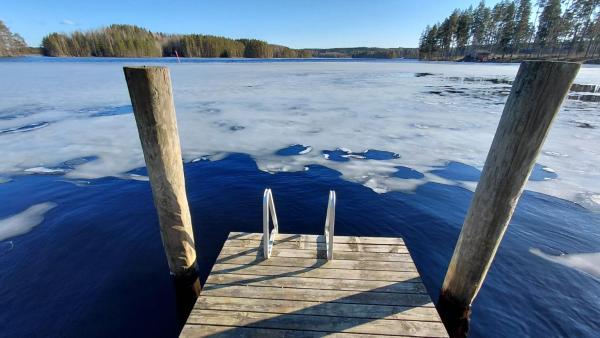 Villa Bagari, Niemenkartano - Joensuu