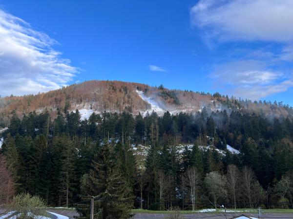 Le Balcon - La Bresse - Xonrupt-Longemer