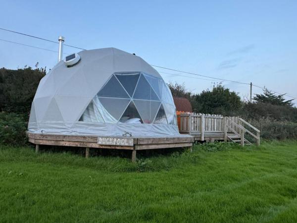 Koa Tree Camp - Duckpool Geo Dome - Cornwall