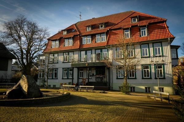 Villa Hermine - 36 Guests - Spa Cinema & Games - Clausthal-Zellerfeld