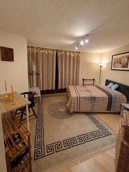 Chelsea Fulham King Room With Garden Access - Kingston upon Thames