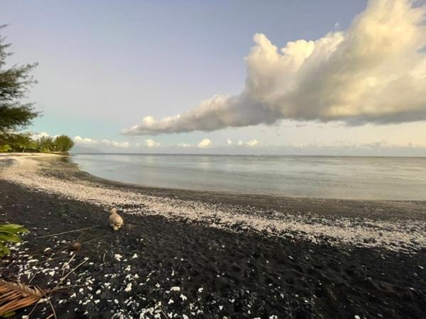 Fare Taitua - Tahiti