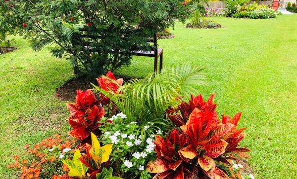 Hotel Jardines Lodge - La Fortuna