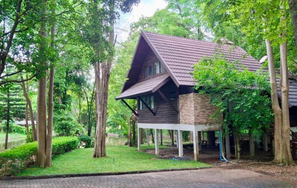 Cottage Upon Tyne คอทเทจริมธาร - Woodland Cabin For 6 - Kanchanaburi