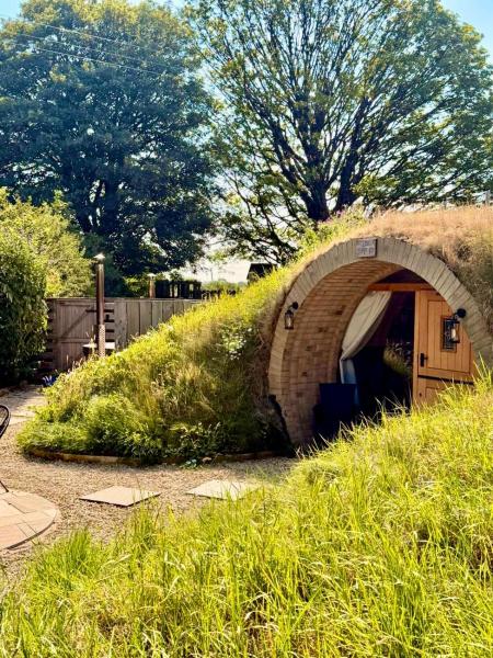 Nook - Glastonbury