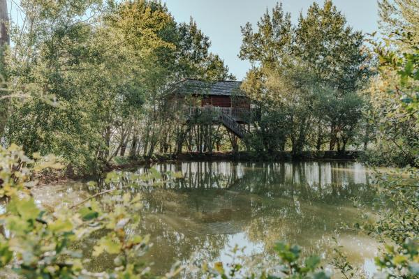 Cabanes Perchees Dans Les Arbres - Biron