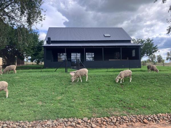 Black Swan - Rosendal