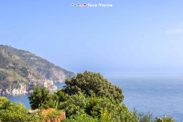 Stone For Life, Terre Marine - Vernazza