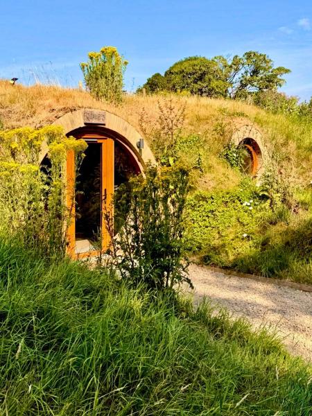 Arts Hollow - Glastonbury