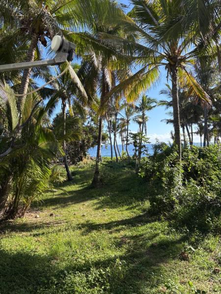 Cap Long - La Réunion