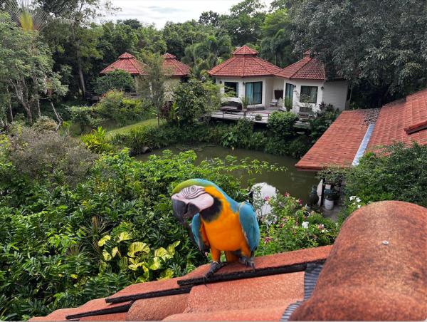 Navari Homestay - Rayong
