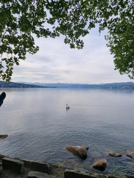 Yveskinyoga - Zurich