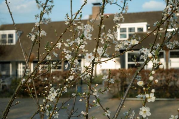 Maison Bienvenue - Helmond