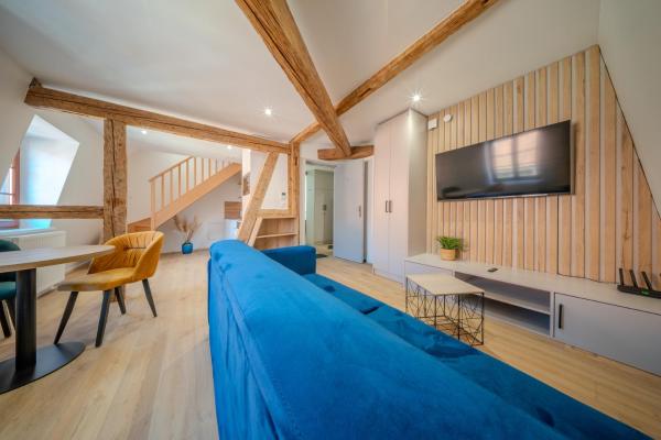 Le Douplex - Centre Ville - Wifi - Netflix - Alsace
