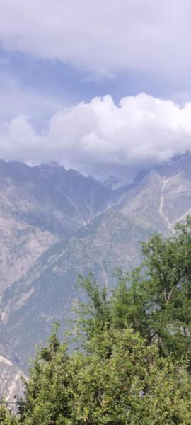 Kailash Darshan Homestay - Kalpa
