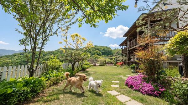 Gapyeong Art Pension - Icheon-si