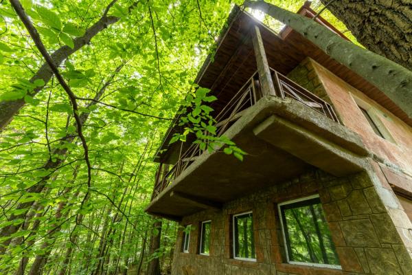 Maestro Rest House Dilijan - Armenia