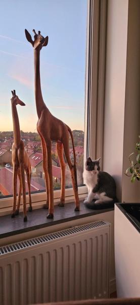Plutogatan Penthouse - Helsingborg