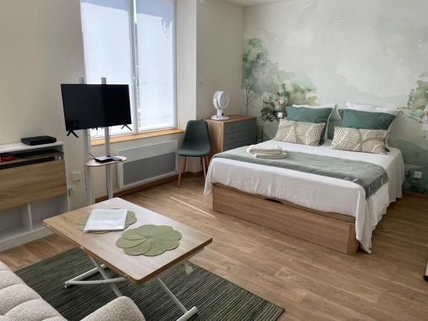 Charmant Studio En Plein Cœur De Remiremont - ibis budget Remiremont