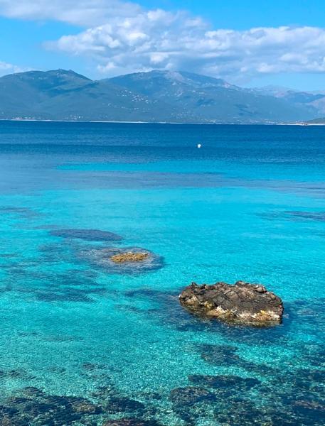 Appartement La Vallée - Corsica del Sud
