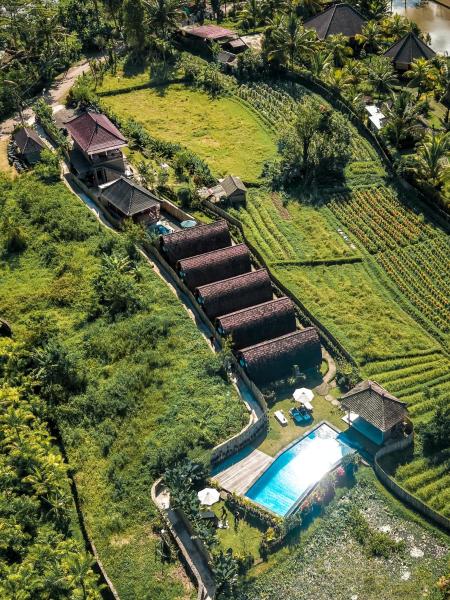 Villa Lumbung Sidemen - Sidemen