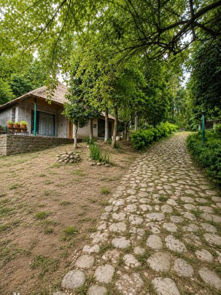 Estate Fernanda Woods - New Chandigarh