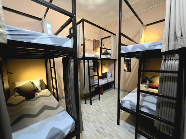 Aruna Hostel 阿鲁娜青年旅舍 - Malang