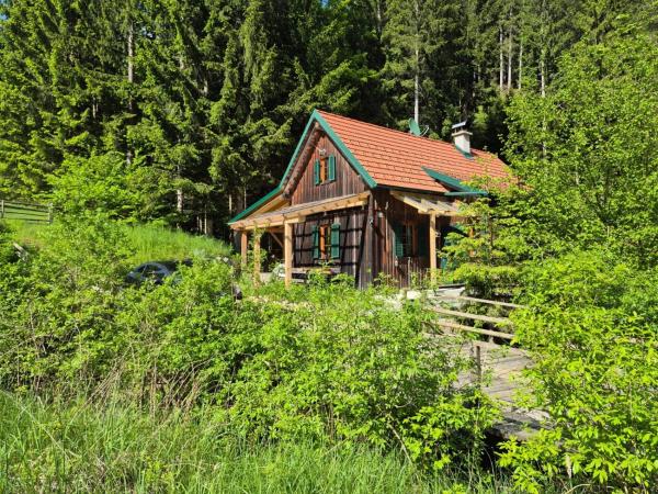 Lärchenhütte Mit Infrarotsauna - Teichalm